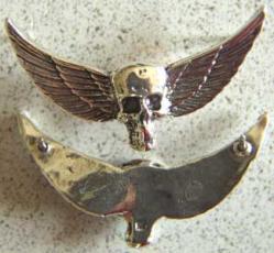 Vietnam SF MACV-SOG Skull Wings Badge Sterling – Made In America Signs