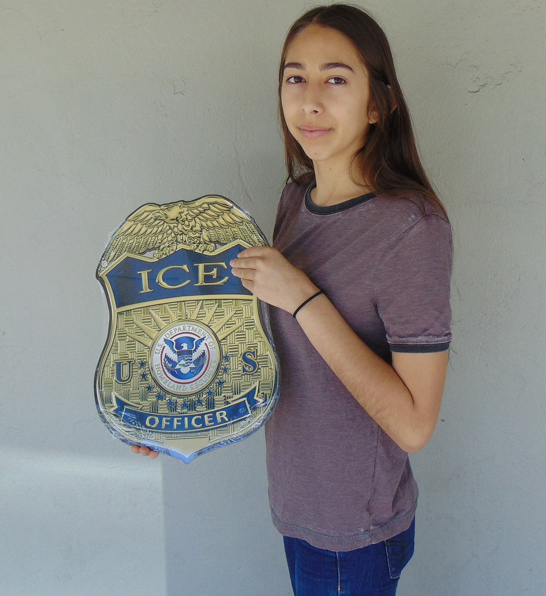 U.S. Immigration and Customs Enforcement ICE BADGE All Metal Sign ...