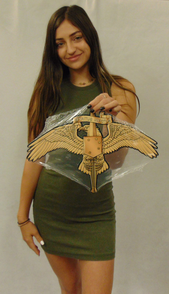 Marine Raiders MARSOC Special Operations Badge - All Metal Sign 16 x 1 ...