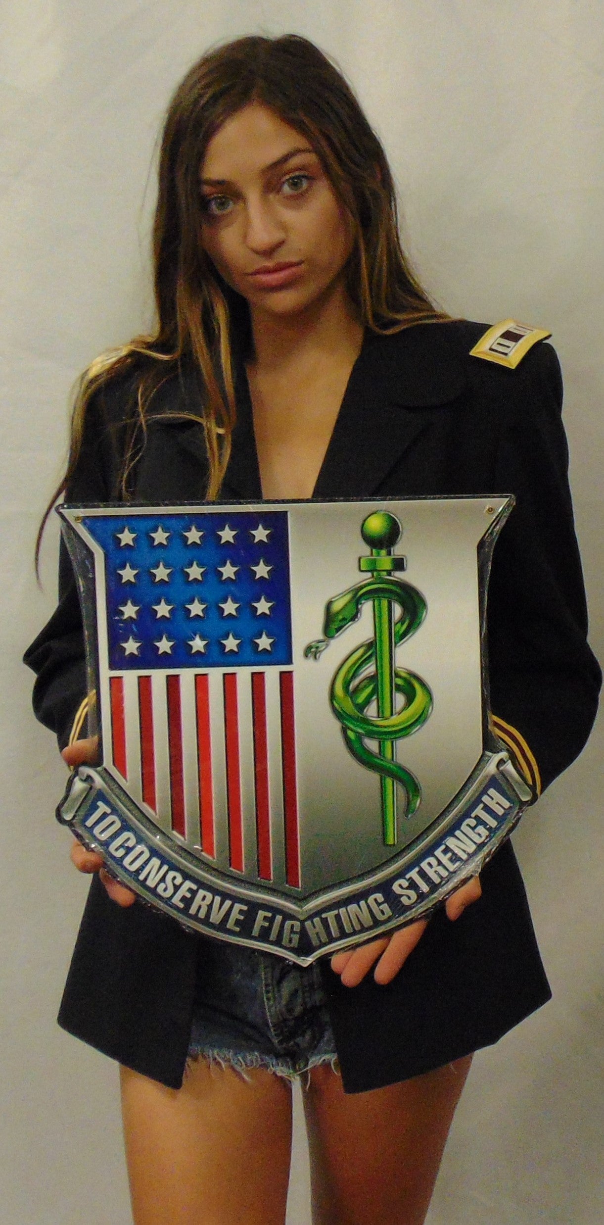 AMEDD DUI REGIMENTAL INSIGNIA All Metal Sign – Made In America Signs