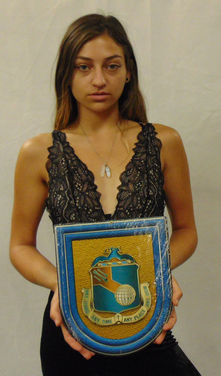 77th Special Forces SF Group all metal Sign 10 x 12" – Made In America ...